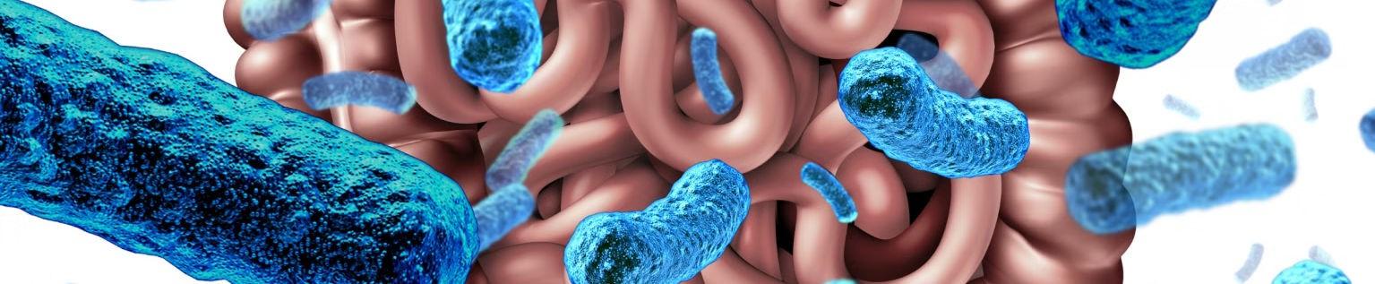 Gluten Sensitivity and Brain Health - Hope Brain & Body Recovery Center